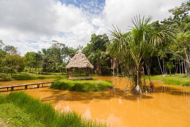 2023 Peru Visitor Guide:Amazon River, Peru