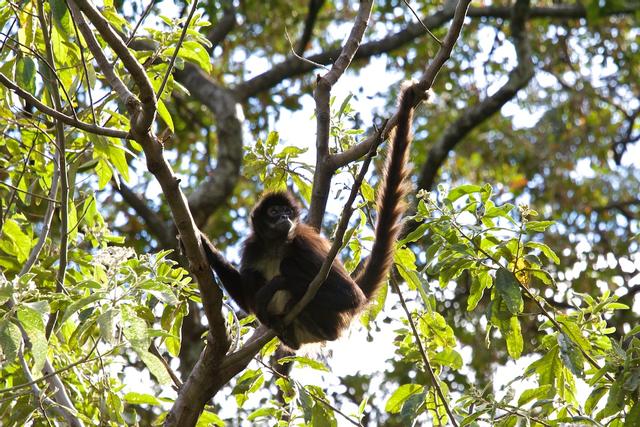 Atitlan Nature Reserve - Western Highlands, Guatemala | Anywhere
