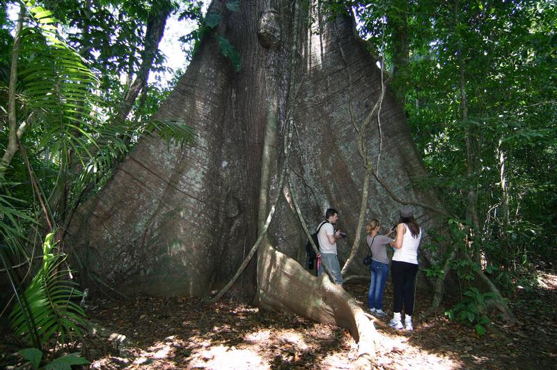2023 Visitor Guide to Barro Colorado, Panama