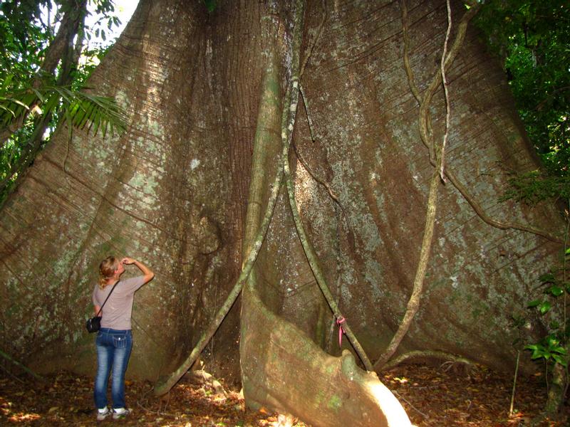 2023 Visitor Guide to Barro Colorado, Panama