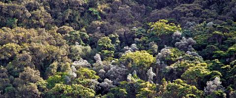 Barú Volcano National Park, Panama - 2024 Guide