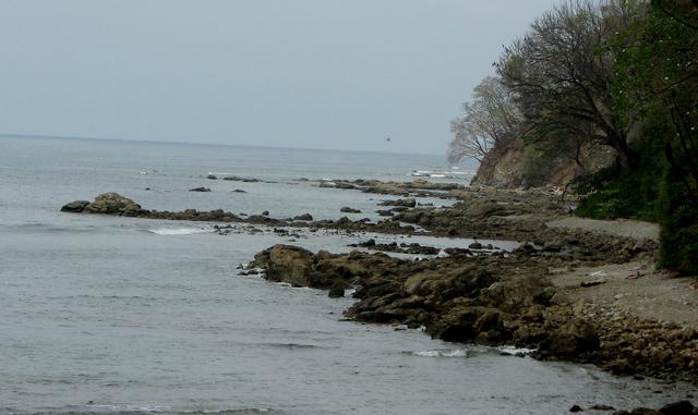 Cabo Blanco Absolute Reserve, Costa Rica - 2023 Guide