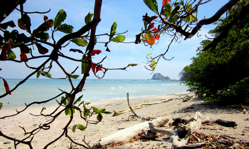 Cabo Blanco Absolute Reserve, Costa Rica - Guide