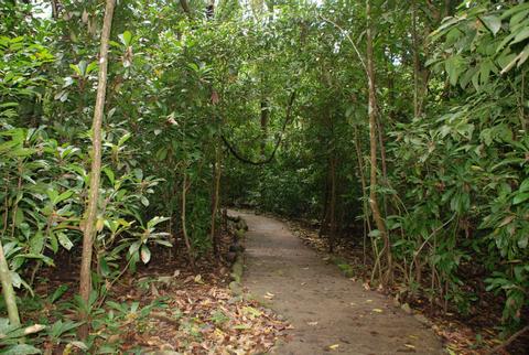 2023 Visitor Guide to Carara National Park, Costa Rica