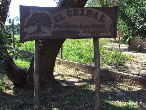 Ceibal Natural Monument Mayan Site - Peten, Guatemala | Anywhere