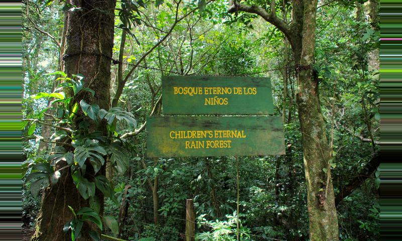 Children’s Eternal Rainforest Reserve - 2018 Guide