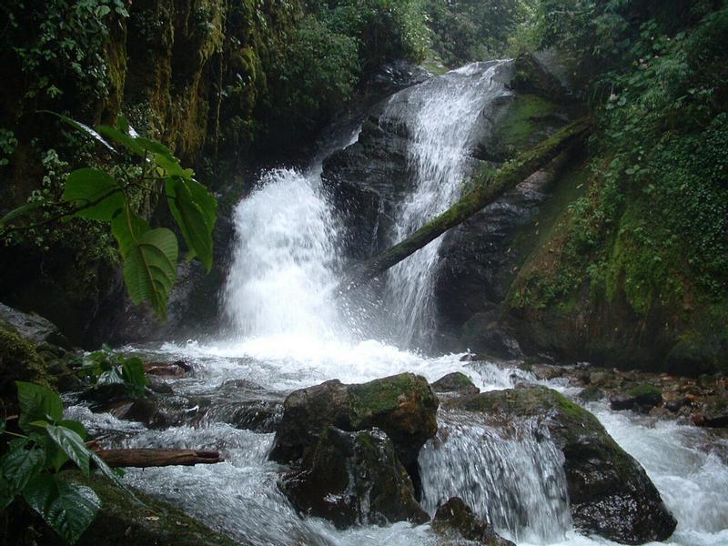 Chirripo National Park - San Jose, Costa Rica | Anywhere
