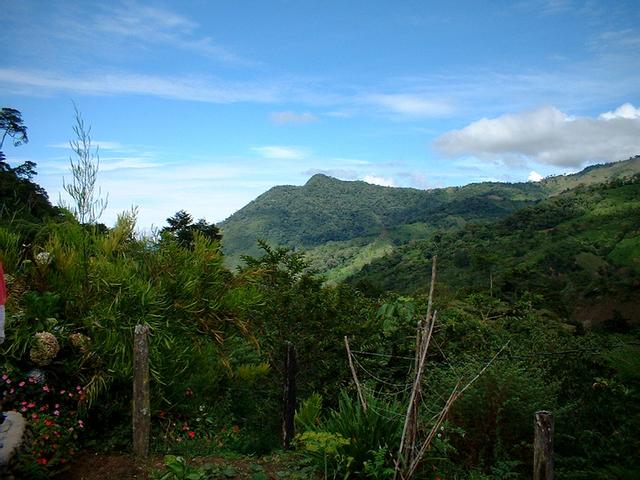 Chirripo National Park - San Jose, Costa Rica | Anywhere