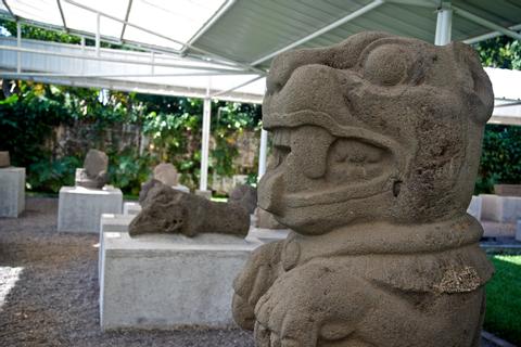 El Baúl - Pacific Slope, Guatemala | Anywhere