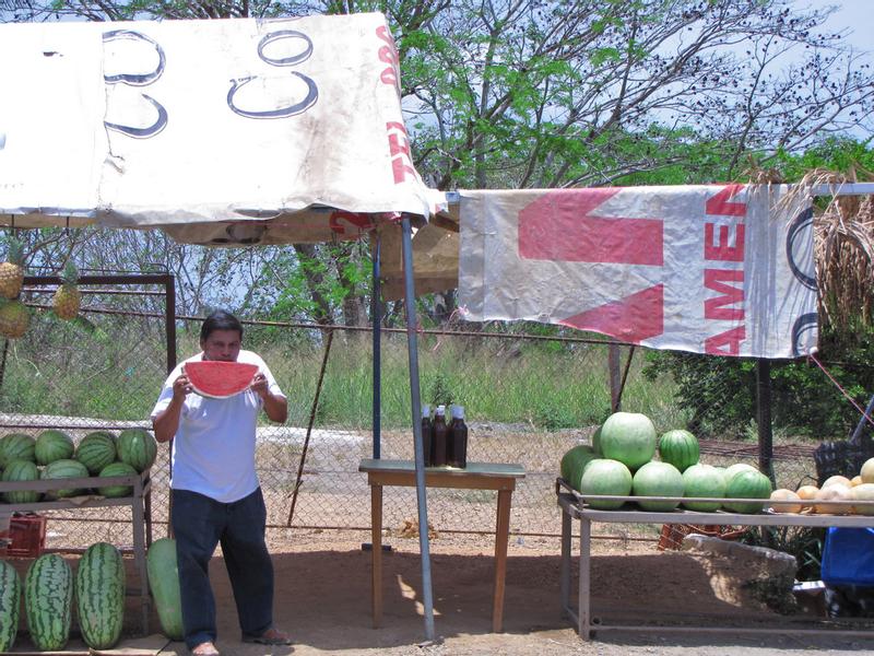 2024 Visitor Guide to La Arena, Panama