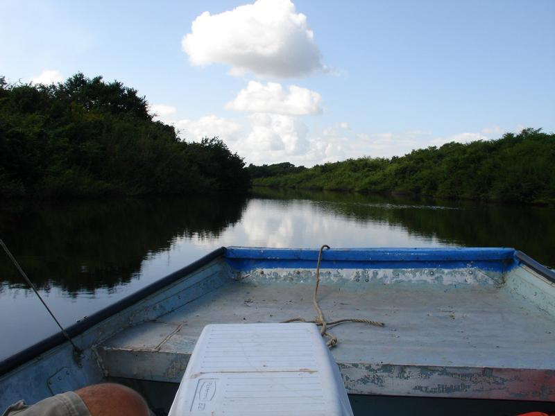 The Ruins of La Pasión River - Petén, Guatemala | Anywhere