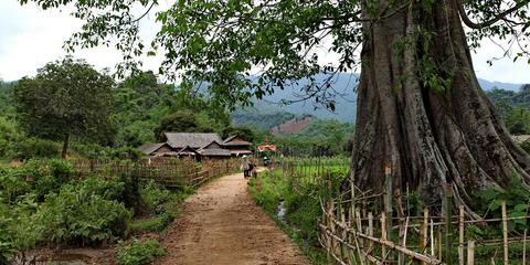 Lac Village — Mai Chau, Vietnam