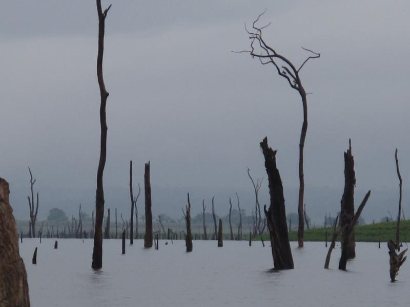 2024 Visitor Guide to Lake Bayano, Panama