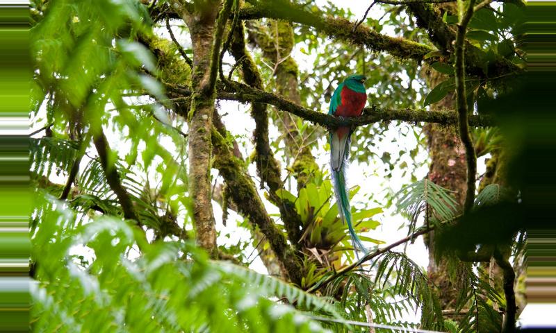 2018 Visitor Guide to Maya Biosphere, Guatemala