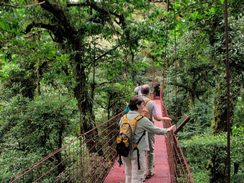 Monteverde Cloud Forest Reserve - Monteverde, Costa Rica | Anywhere