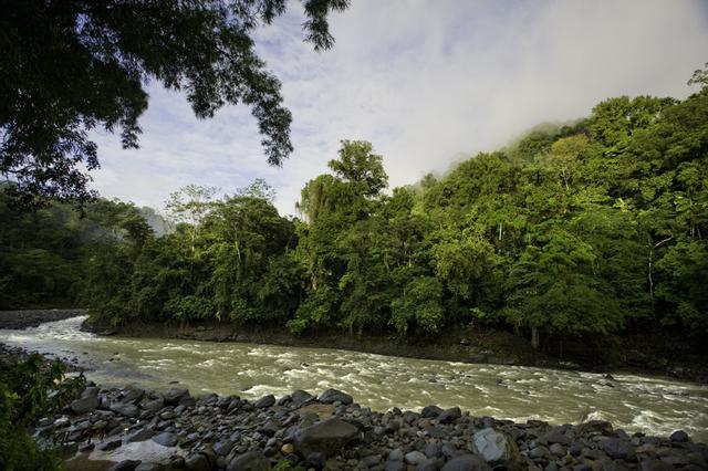 Pacuare River - Turrialba, Costa Rica | Anywhere