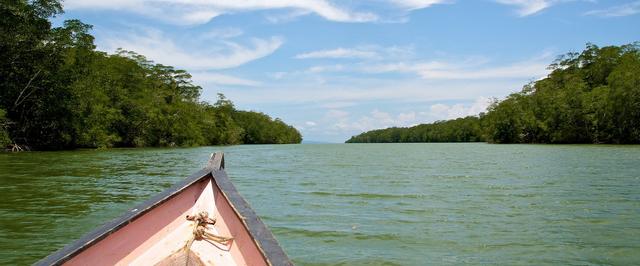 2023 Panama Visitor Guide: Darién National Park, Panama