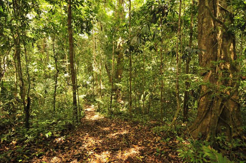 2023 Panama Visitor Guide: Darién National Park, Panama