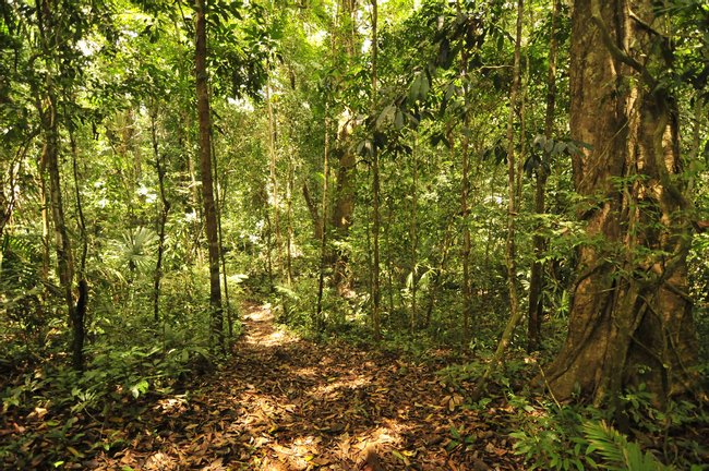 Panama Visitor Guide: Darién National Park, Panama