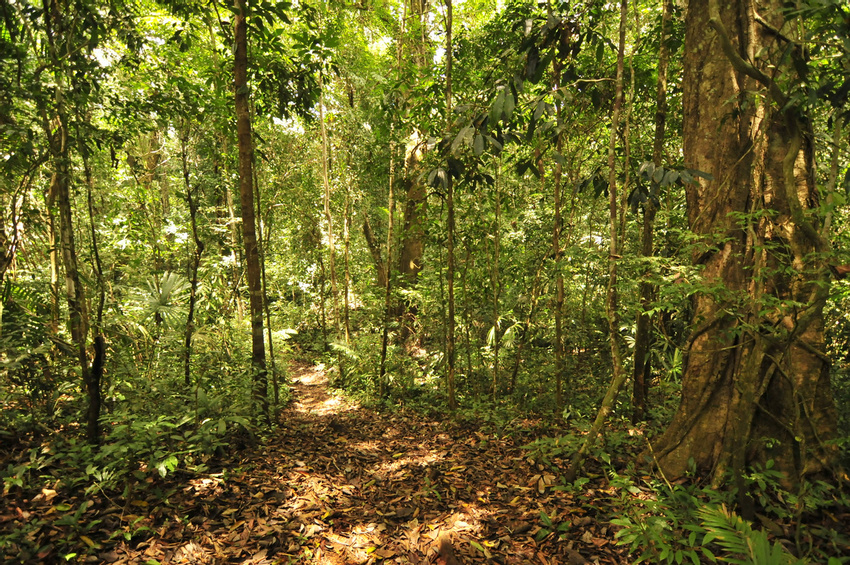 Panama Visitor Guide: Darién National Park, Panama