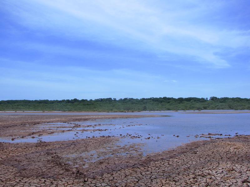 2023 Panama Visitor Guide: Sarigua National Park, Panama