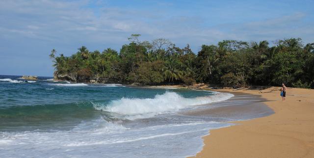 2024 Panama Visitor Guide: Playa Bluff, Panama