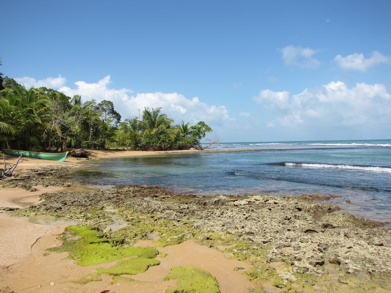 2024 Panama Visitor Guide: Playa Paunch, Panama