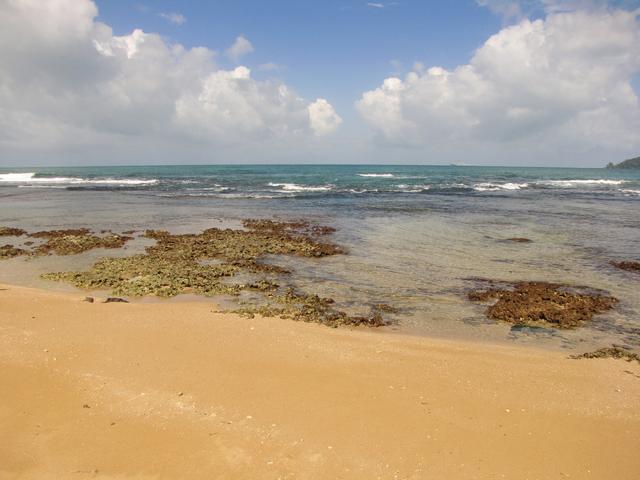 2024 Panama Visitor Guide: Playa Paunch, Panama