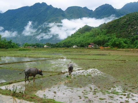 Pom Coong Village — Mai Chau, Vietnam