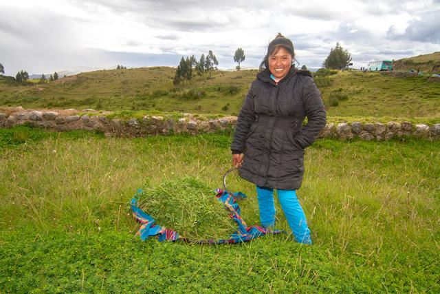 2023 Peru Visitor Guide: Puca Pucara, Peru