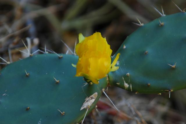 Santa Rosa National Park - Liberia, Costa Rica | Anywhere