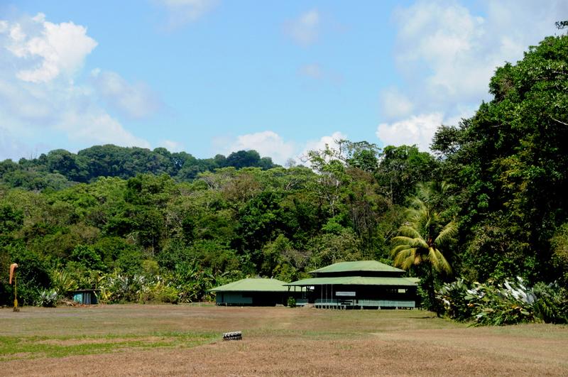Sirena Biological Station, Costa Rica - 2023 Guide
