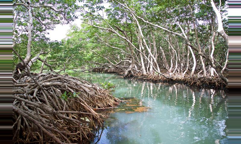 South Water Caye Marine Reserve, Belize - 2018 Guide