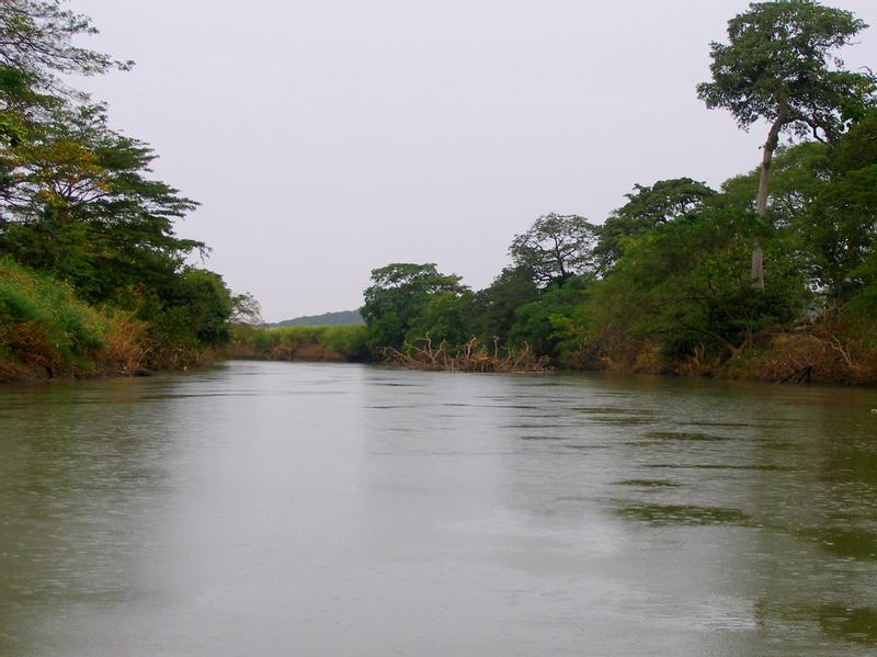 2023 Costa Rica Guide: Tempisque River, Costa Rica