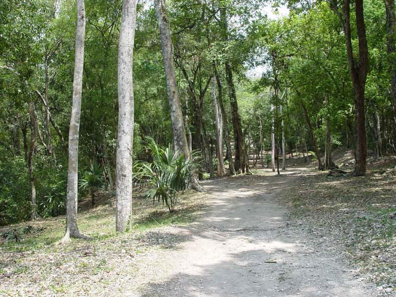 Topoxté Archeological Site - Petén, Guatemala | Anywhere