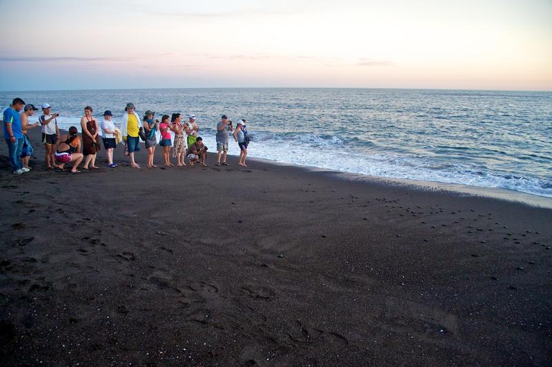 Tortugario-Monterrico - Pacific Slope, Guatemala | Anywhere