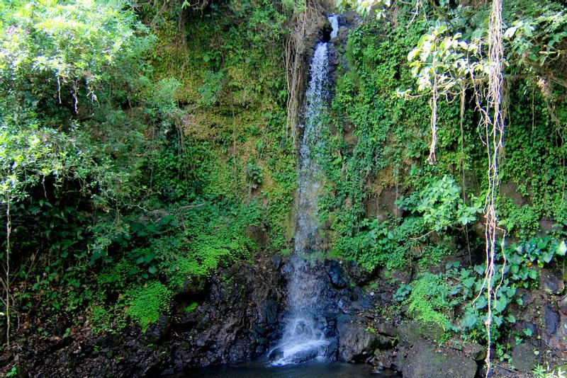 Viento Fresco Waterfalls - Monteverde, Costa Rica | Anywhere