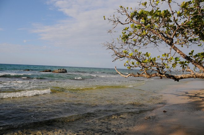 2024 Visitor Guide to Wizard Beach, Panama