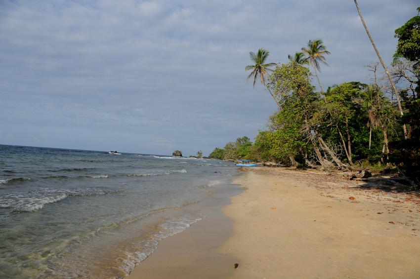 Visitor Guide to Wizard Beach, Panama