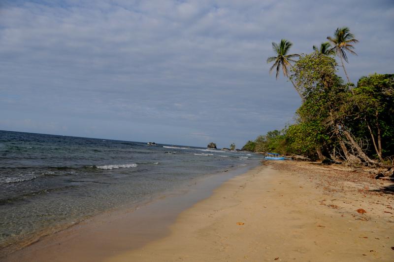 2024 Visitor Guide to Wizard Beach, Panama