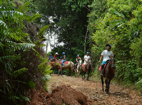 Tocori Waterfalls Horseback Riding
