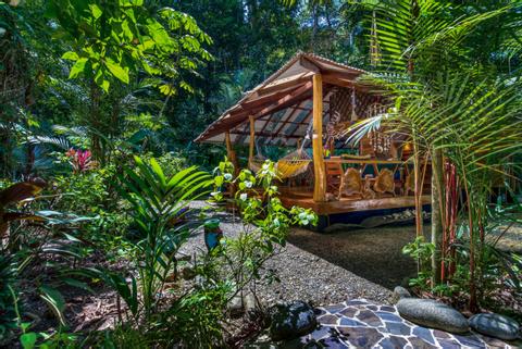 Congo Bongo Dream Deluxe House