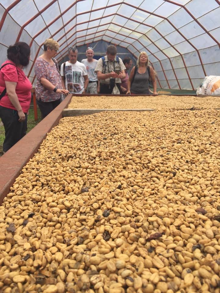 Mi Cafecito Coffee Tour - Saripiquí, Costa Rica