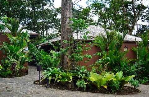 Rio Celeste Hideaway - Tenorio and Miravalles Volcano Area