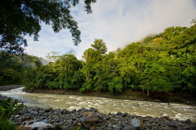 Guapiles, Caribbean - Costa Rica 2024 Travel Guide | Anywhere