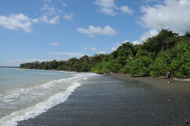 Drake Bay, South Pacific - Costa Rica 2023 Travel Guide | Anywhere