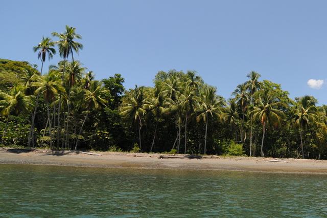 Golfito, South Pacific - Costa Rica 2023 Travel Guide | Anywhere