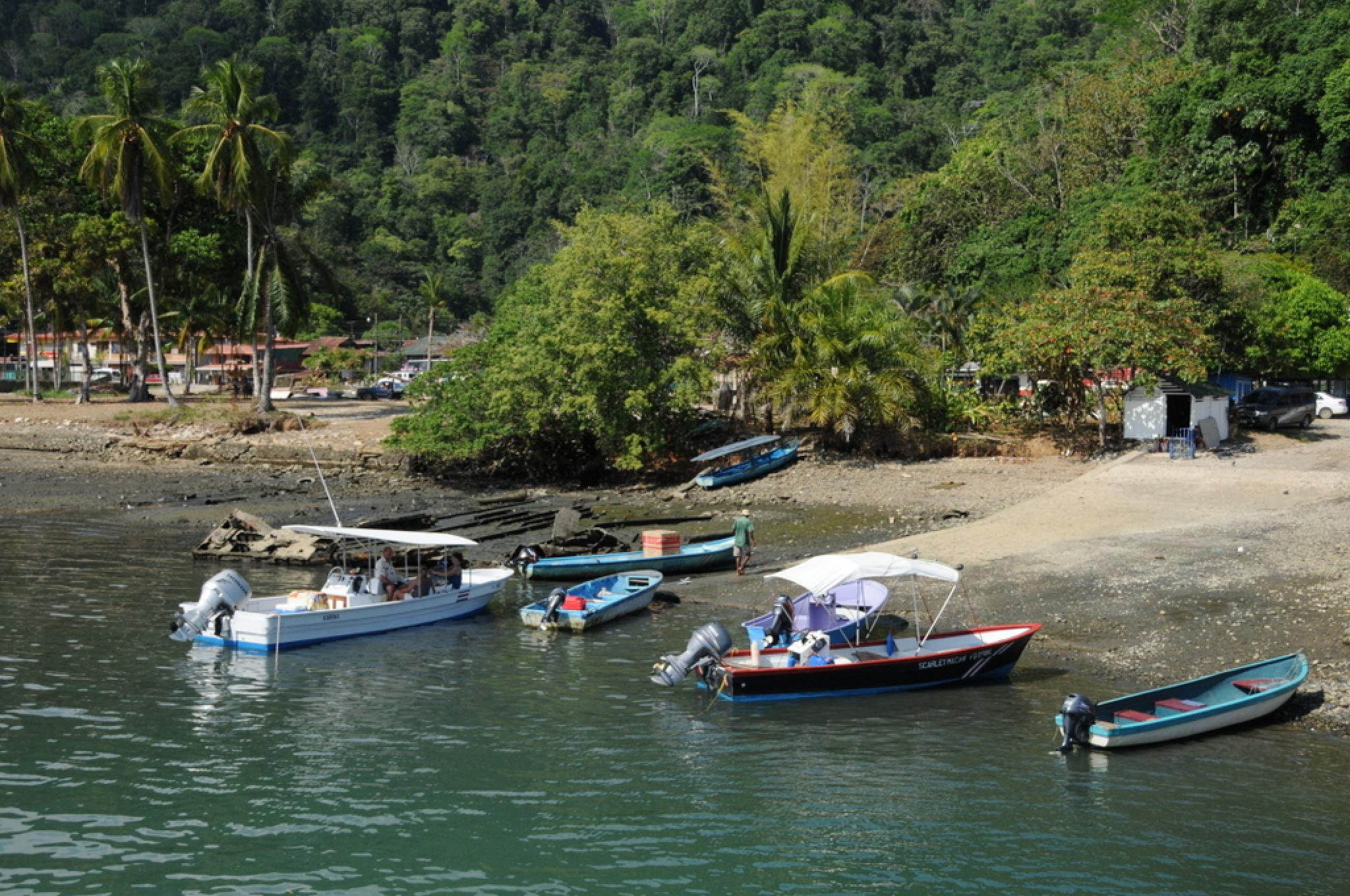 Golfo Dulce, Costa Rica - 2018 Travel Guide