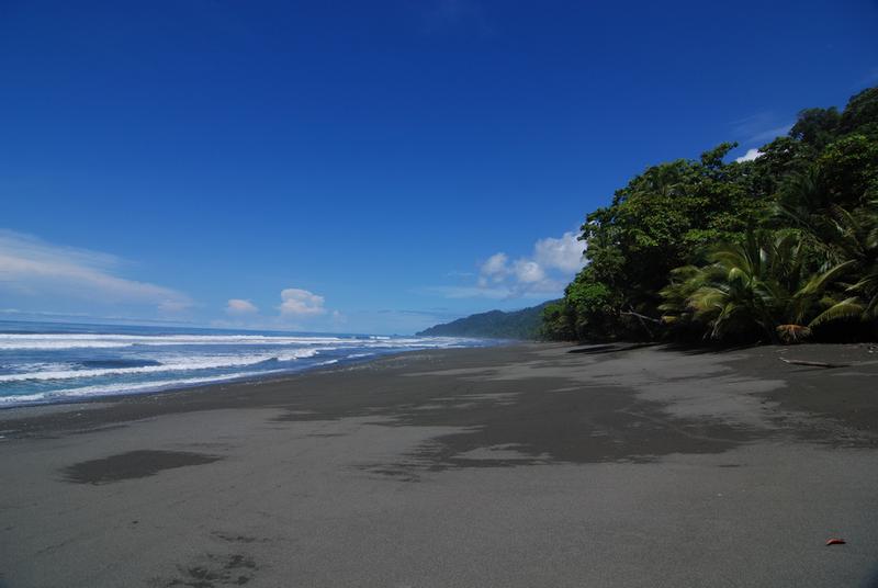 Carate, South Pacific - Costa Rica 2023 Travel Guide | Anywhere