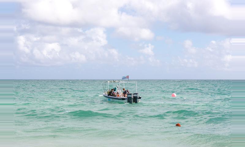 Cayo Coco & Cayo Guillermo, Cuba - 2018 Travel Guide